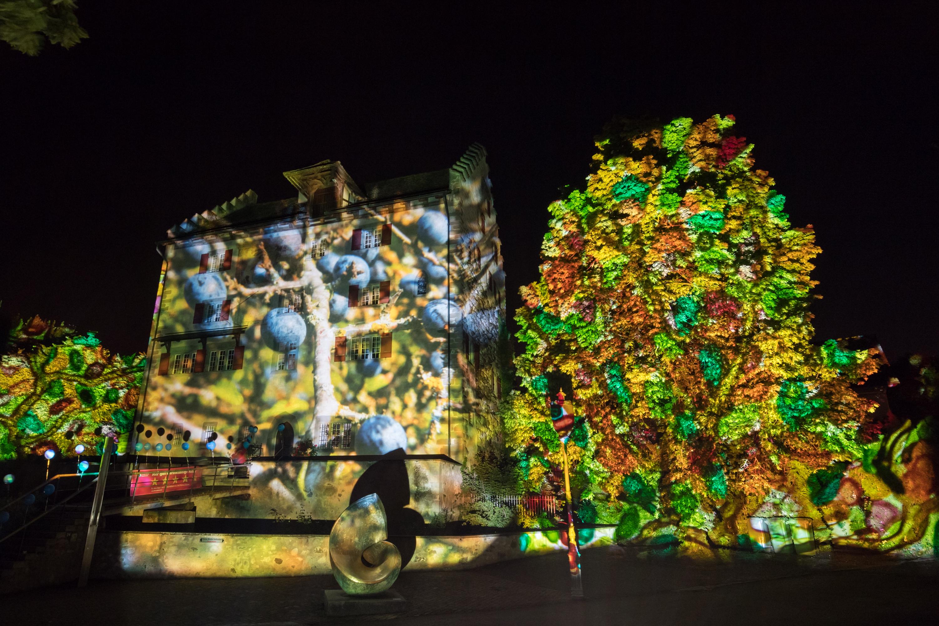 Lichtkunst im Zeichen der Natur | Kanton Zürich