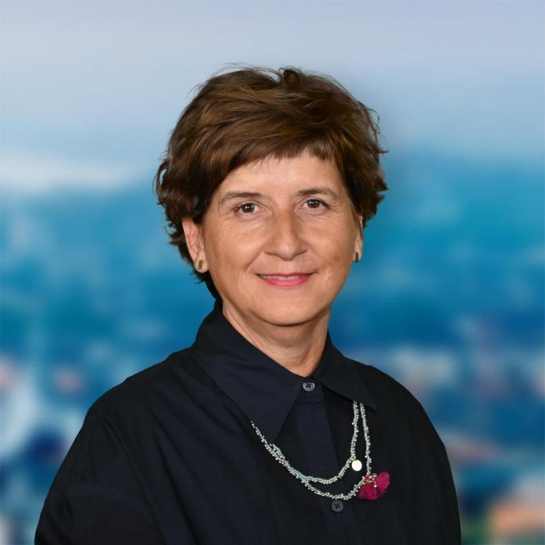 Team Digitale Verwaltung | Kanton Zürich