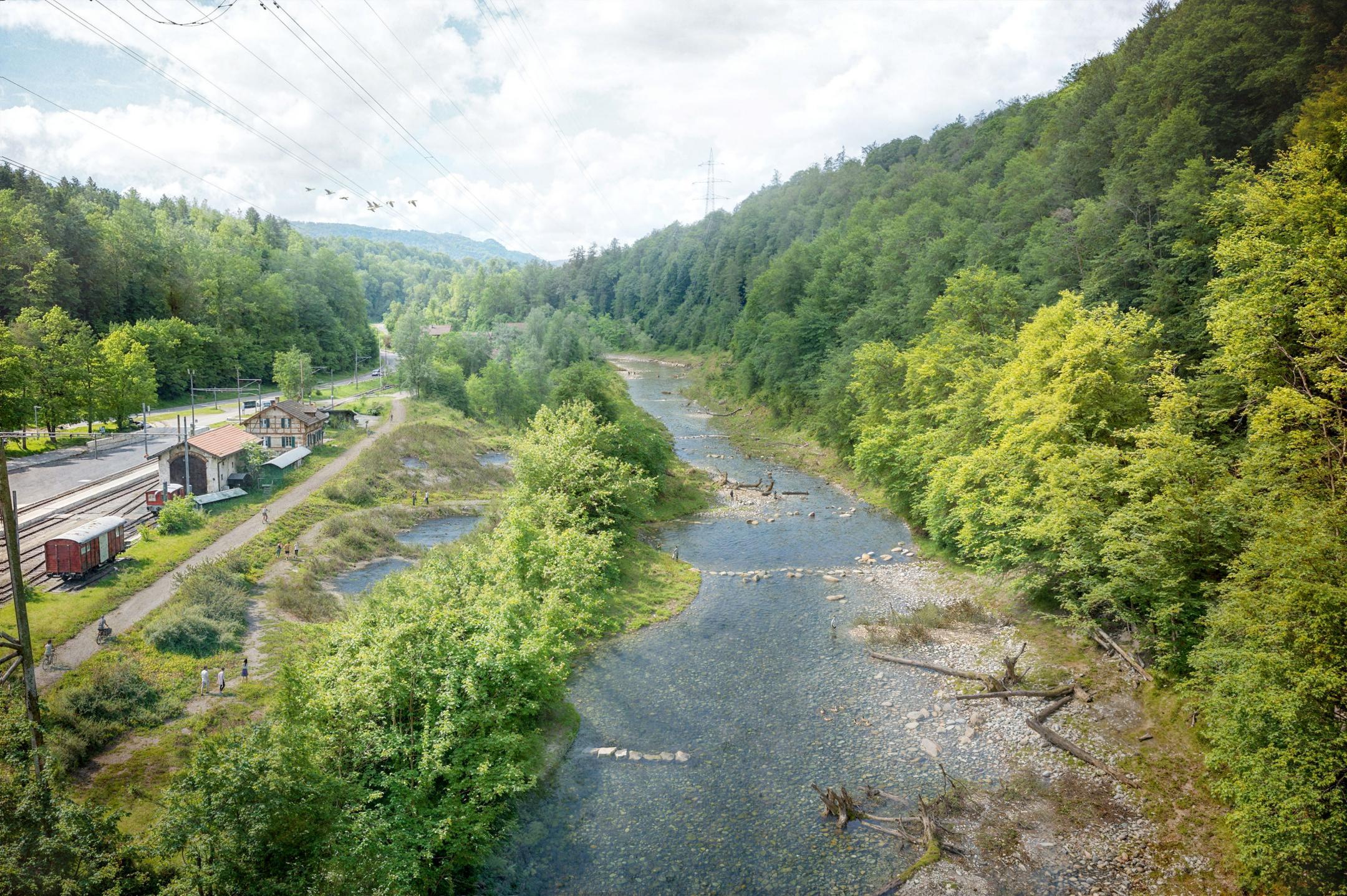 Revitalisierung Sihl bei Sihlwald | Kanton Zürich