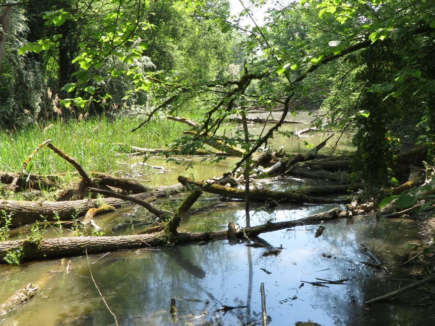 Naturschutz | Kanton Zürich