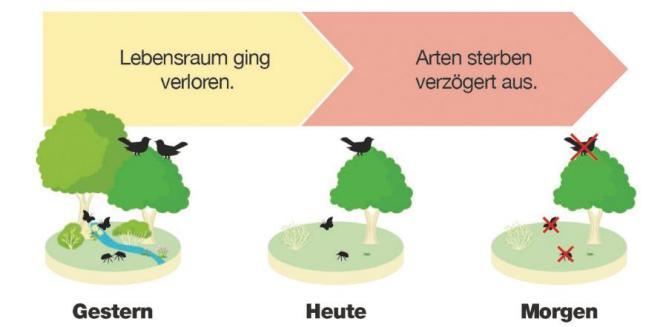 Ökologische Infrastruktur | Kanton Zürich